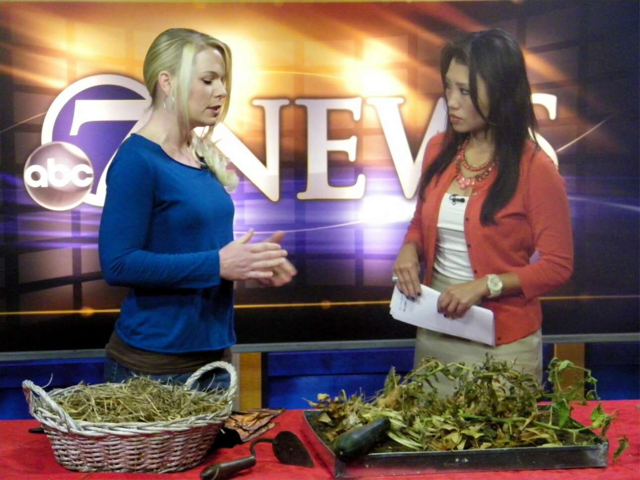 Meet Amy Bales - CanvasRebel Magazine