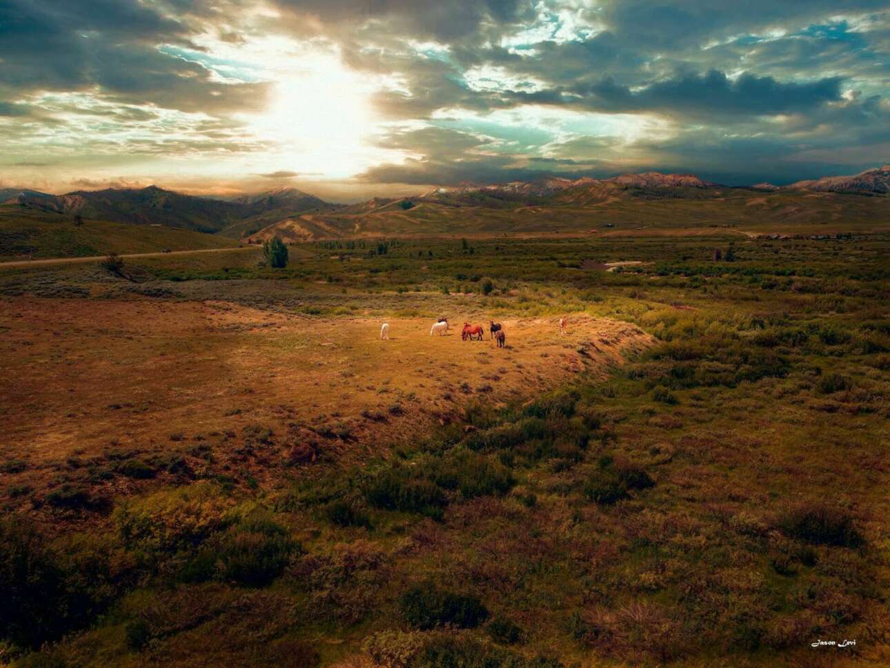 Meet Jason Levi – CanvasRebel Magazine