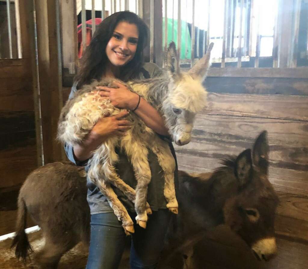 Meet Megan Cardet - CanvasRebel Magazine