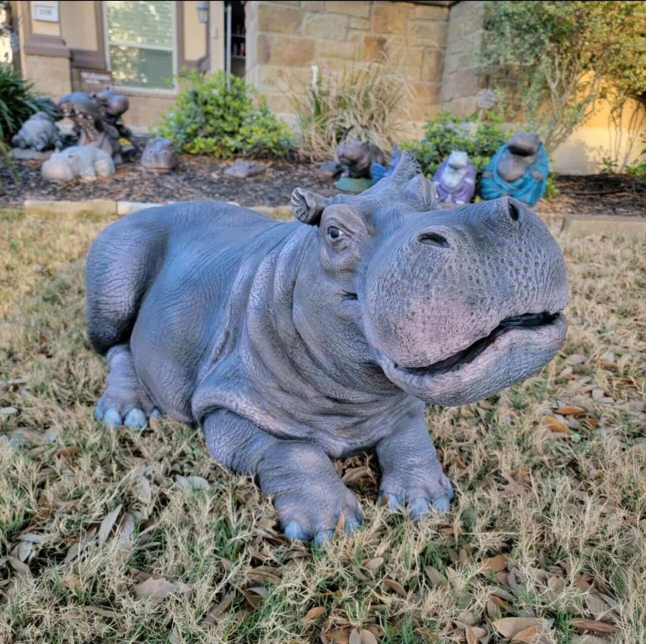 Meet Greg RAy – CanvasRebel Magazine