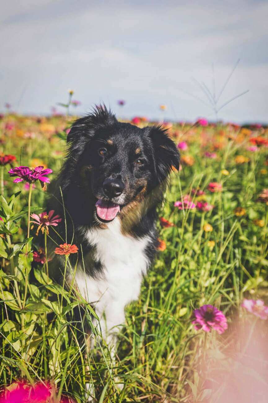 Meet Jessica Shaw - CanvasRebel Magazine