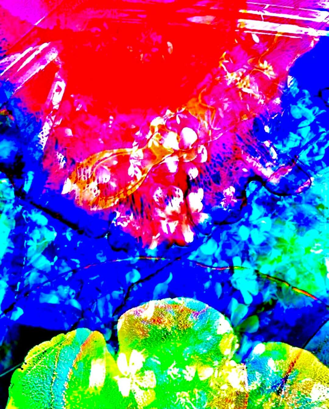 Meet Joseph Staley – CanvasRebel Magazine