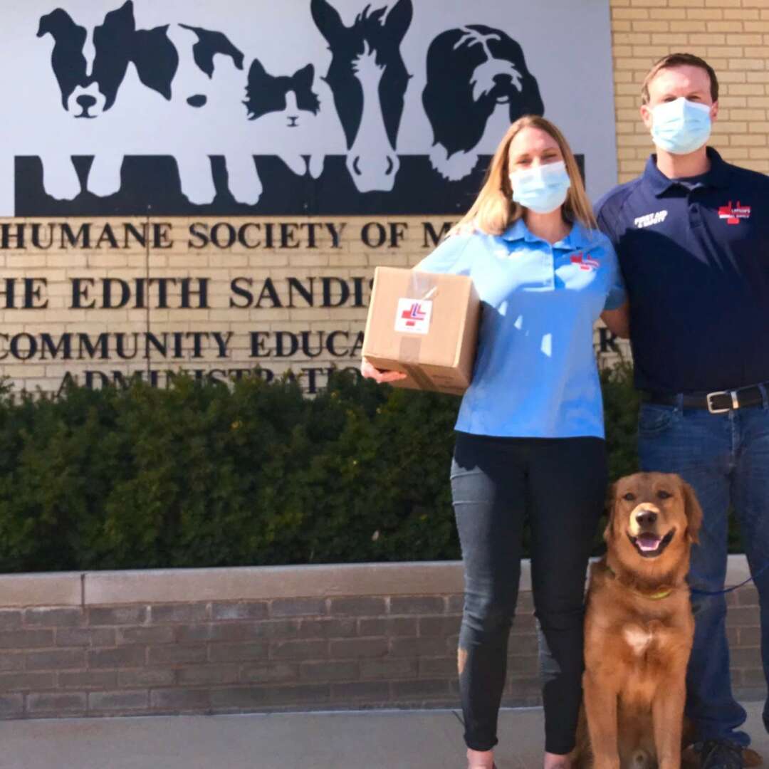 Meet Nicole Larson – CanvasRebel Magazine