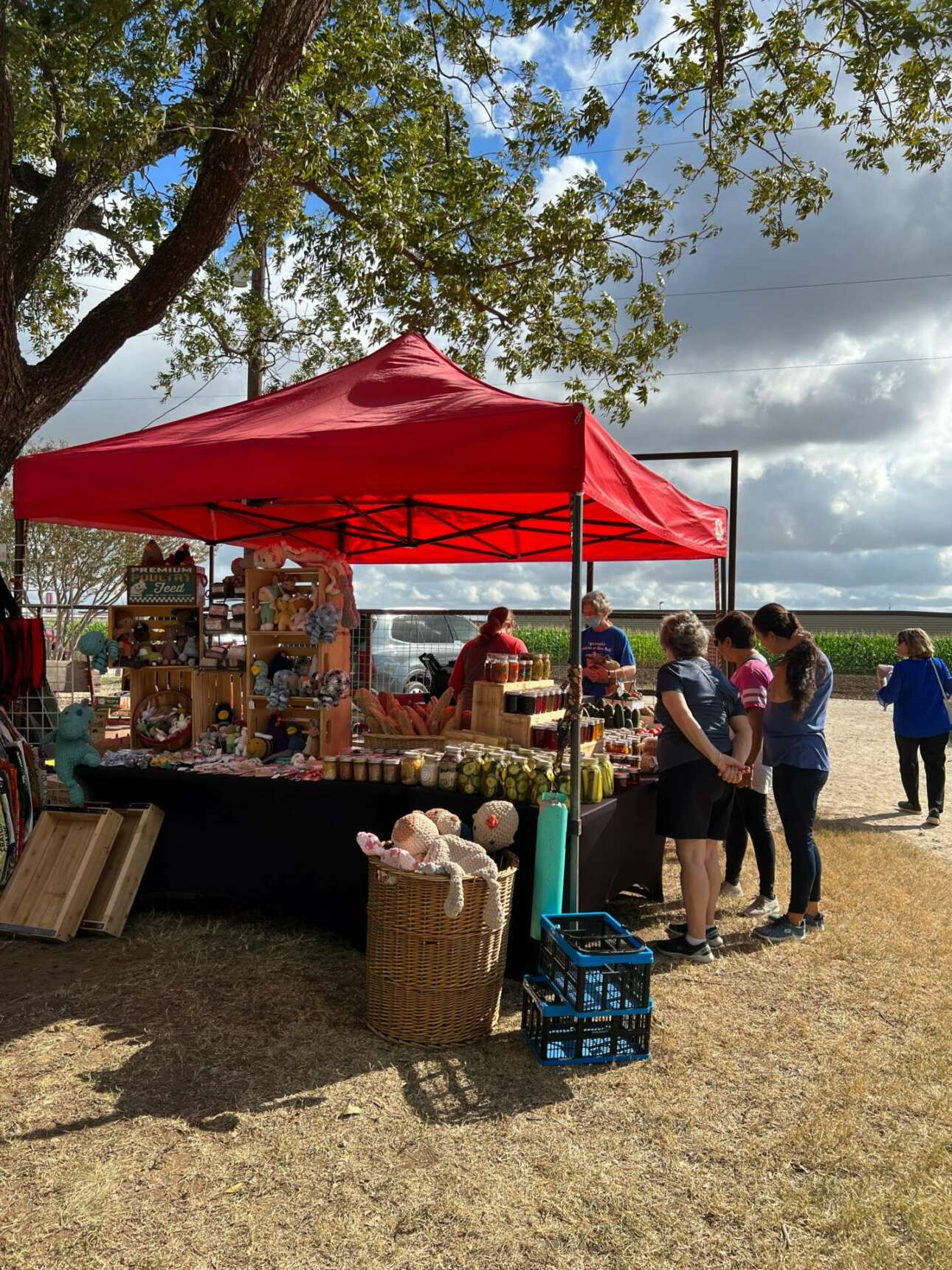 Meet Heather Schultz - CanvasRebel Magazine