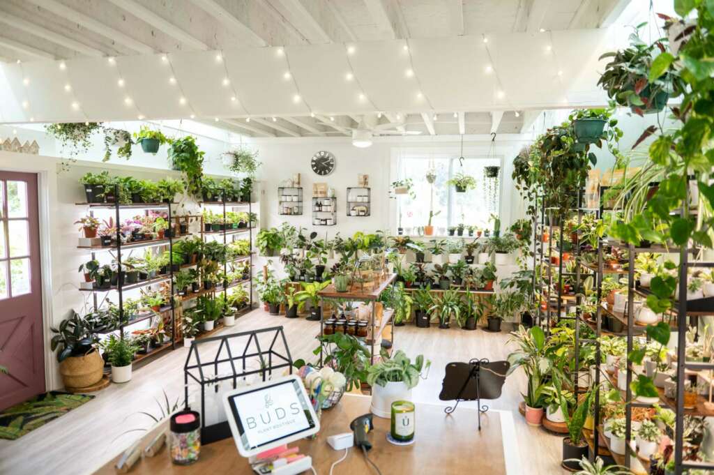 Meet Lindsay Moe & Jessica Neumann - CanvasRebel Magazine