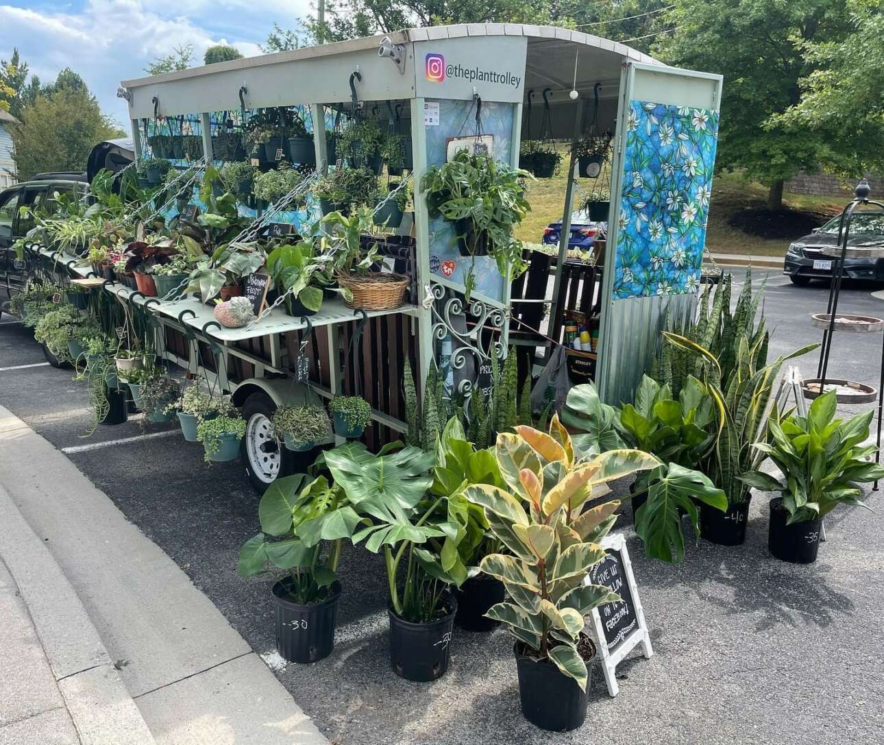 Meet Megan Jewell - CanvasRebel Magazine