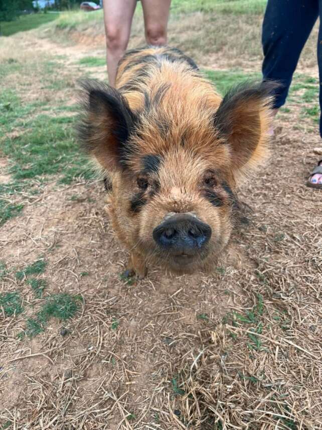 Meet Mike and Christy Flynn – CanvasRebel Magazine