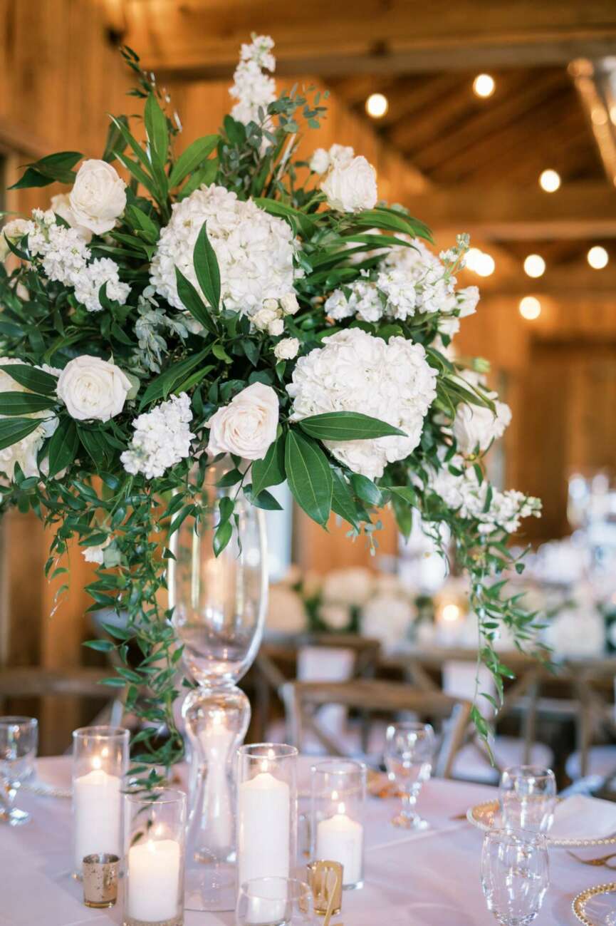 Meet Natasha Larson – CanvasRebel Magazine