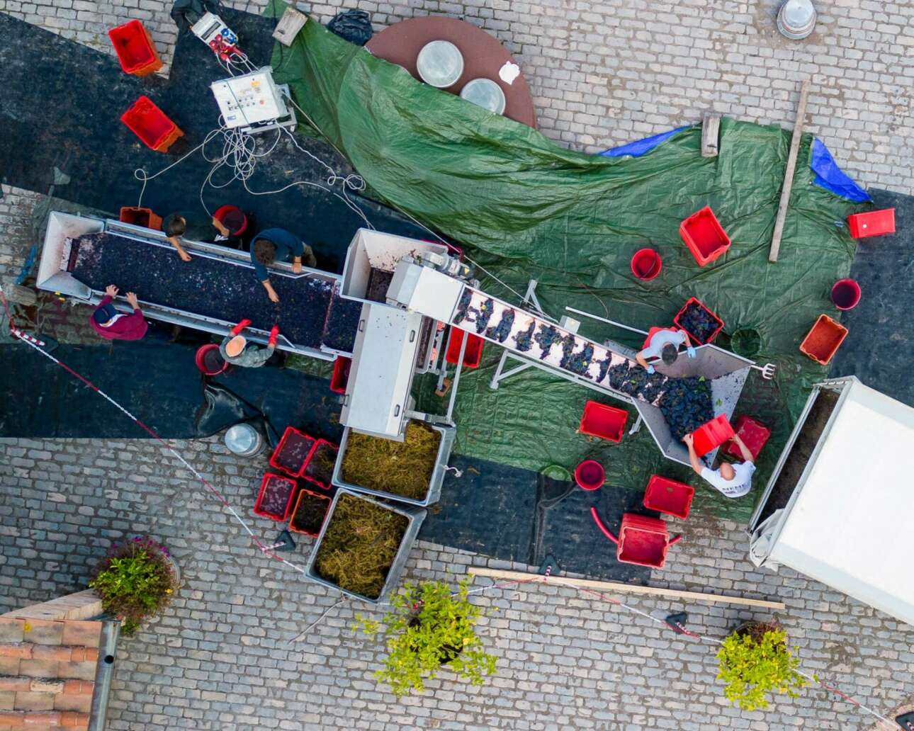 Meet Jeff Burrows – CanvasRebel Magazine