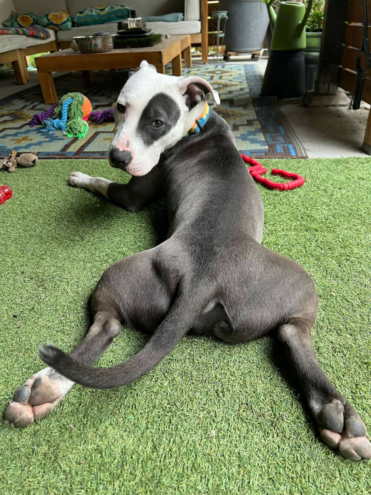 Meet Kyle Kastner – CanvasRebel Magazine