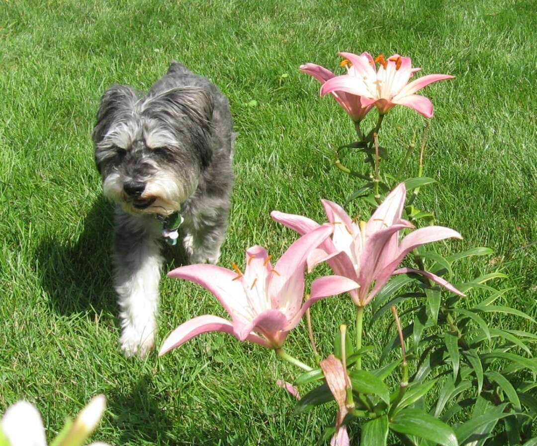 Meet Stephanie Stringfield – CanvasRebel Magazine