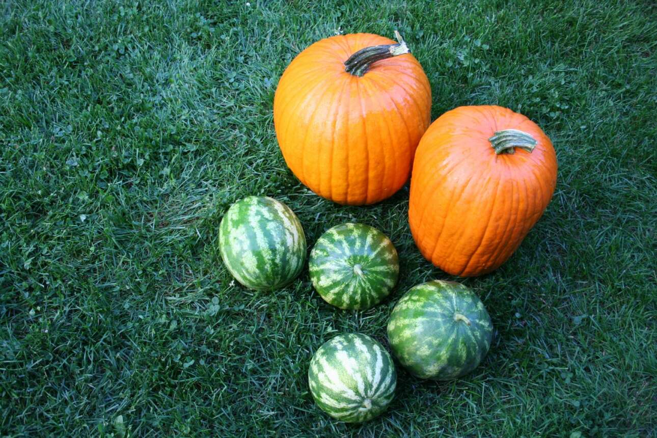 Meet Stephanie Stringfield – CanvasRebel Magazine