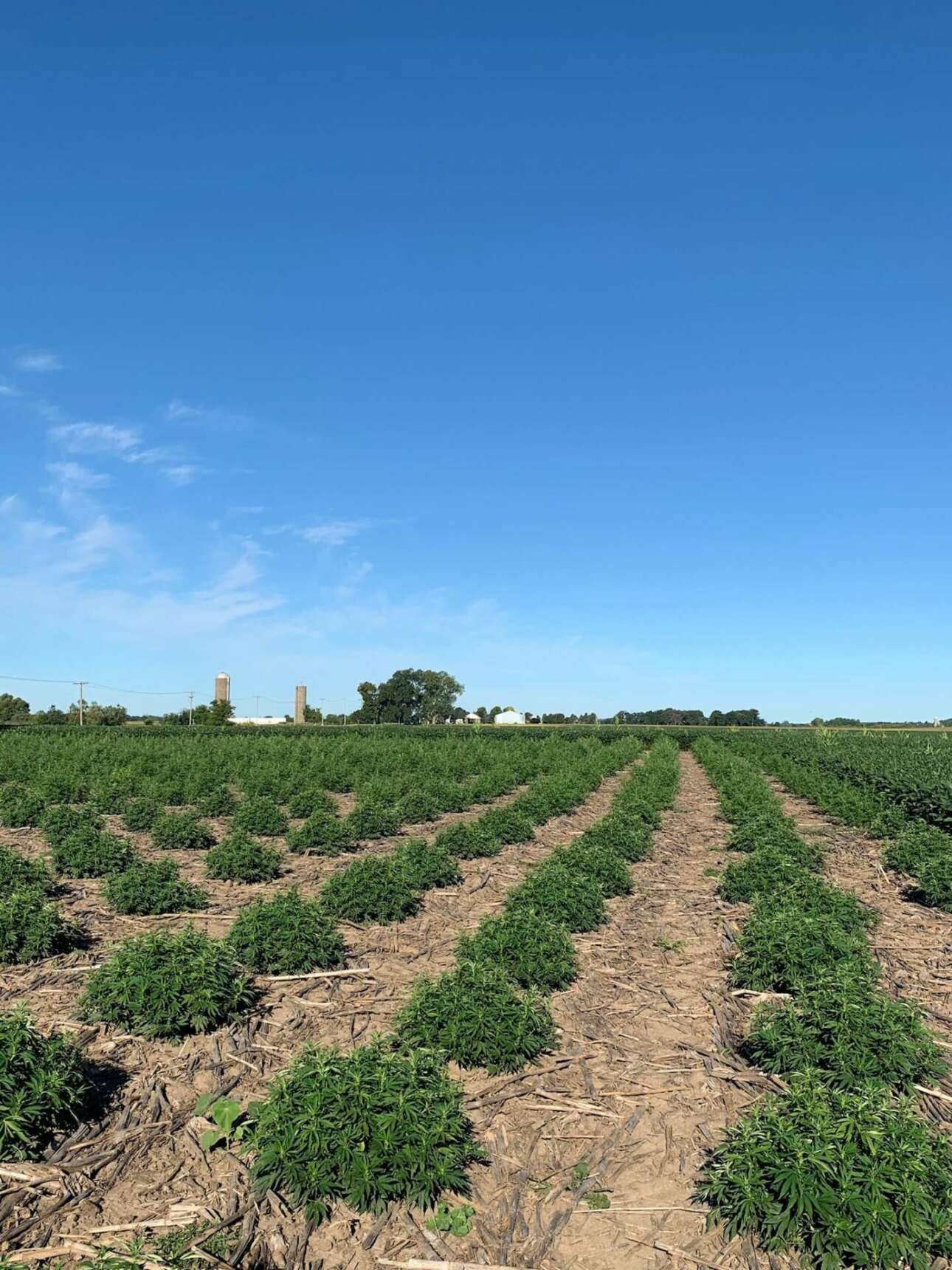 Meet Jason Biddle - CanvasRebel Magazine