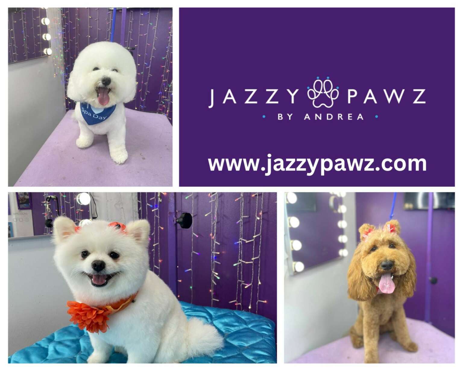 Meet Andrea Jenkins - CanvasRebel Magazine