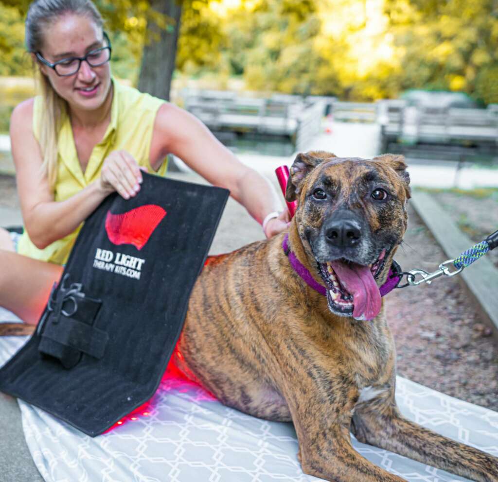 Meet Stephanie Pope – CanvasRebel Magazine