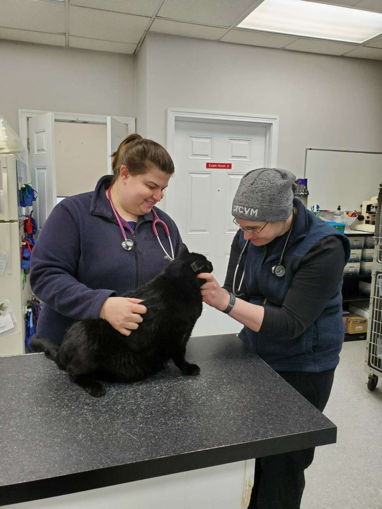 Meet Kate Boatright – CanvasRebel Magazine