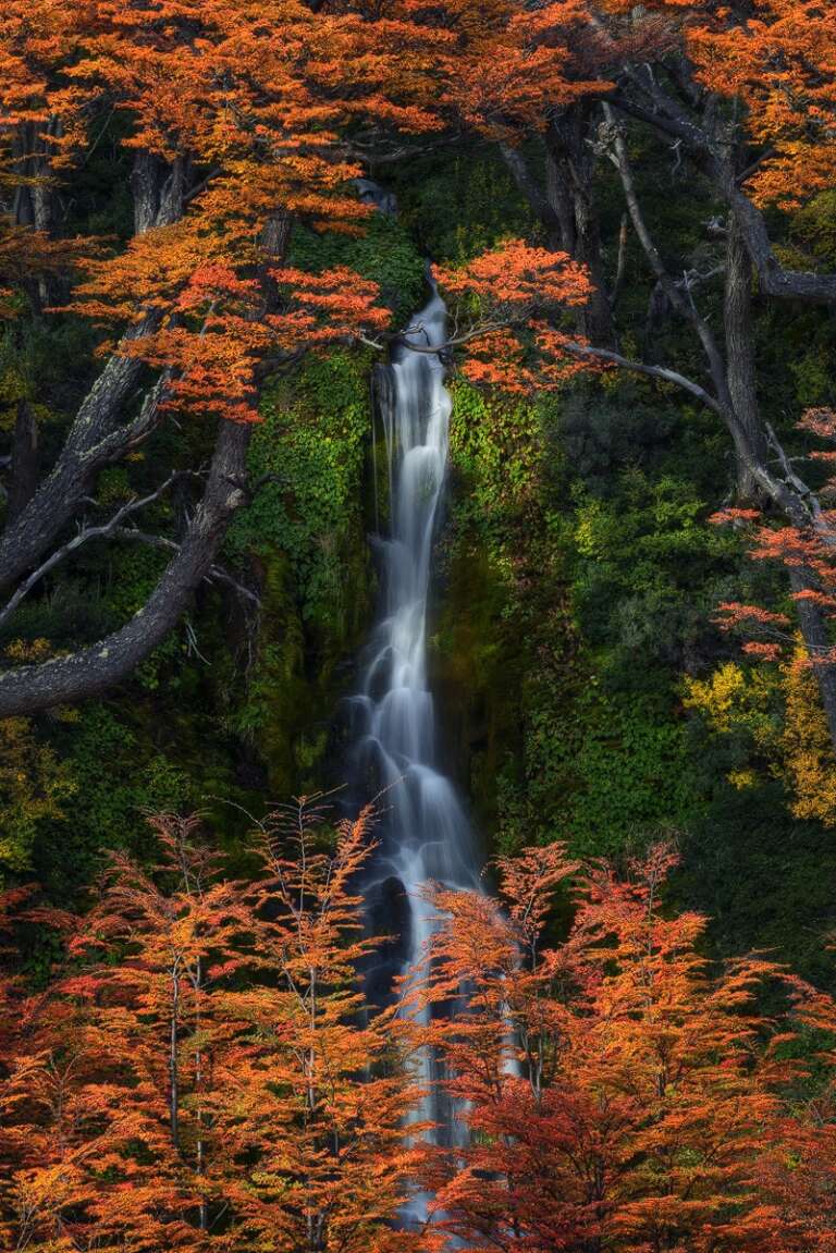 Meet Eric Bennett – CanvasRebel Magazine