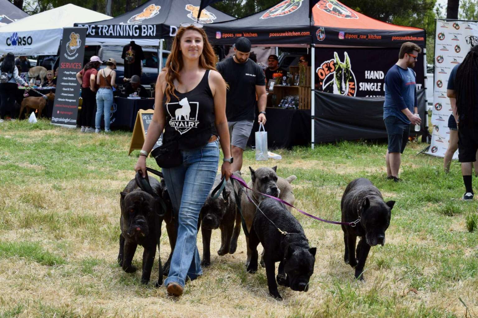 Meet Cane Corso Meetup - CanvasRebel Magazine