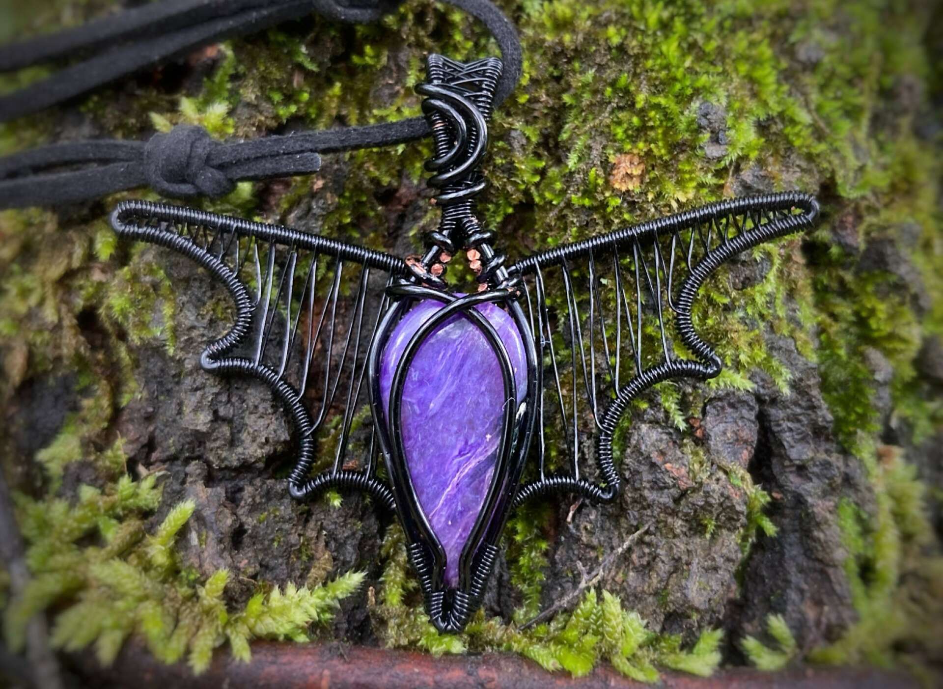 Meet Pam Dexter – CanvasRebel Magazine