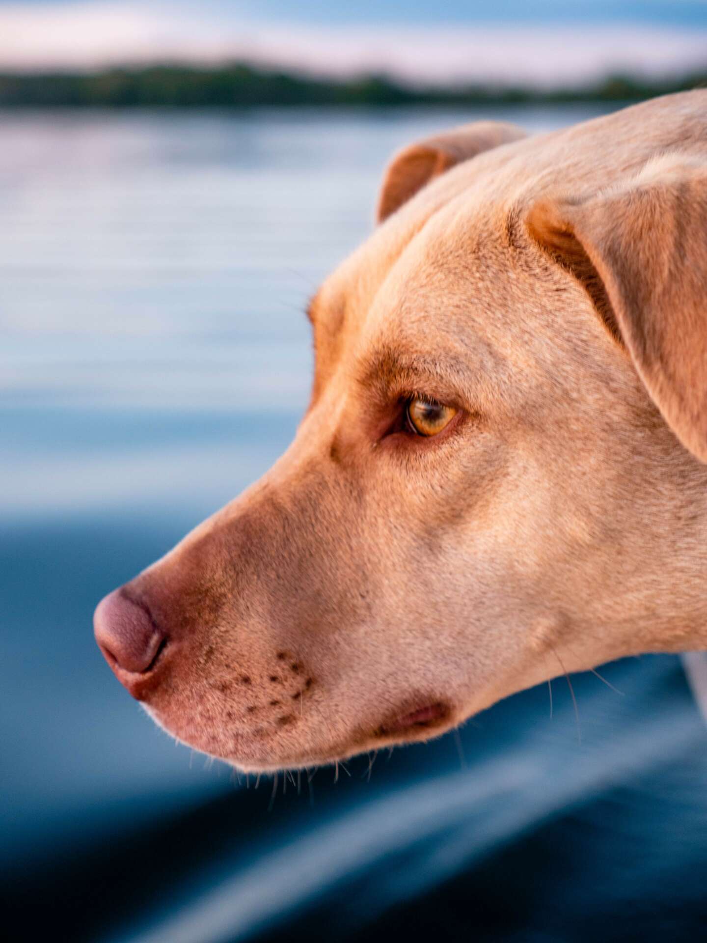 Meet Chris Dummer – CanvasRebel Magazine