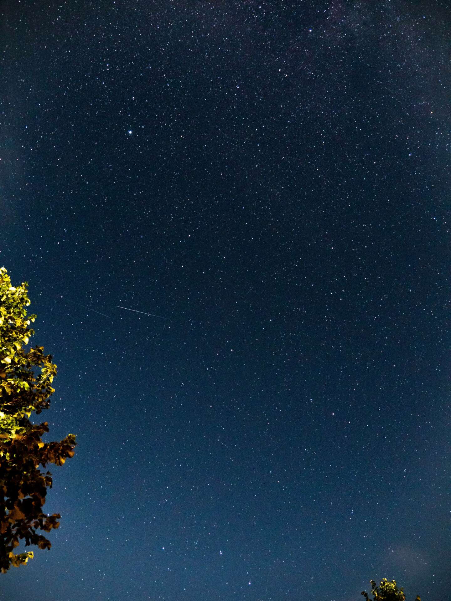 Meet Chris Dummer – CanvasRebel Magazine