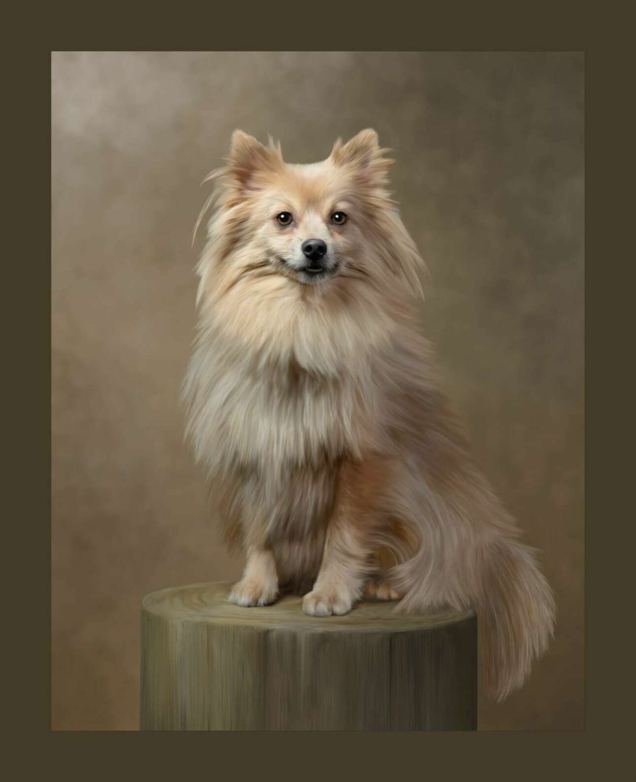 Meet Connie Sanders – CanvasRebel Magazine