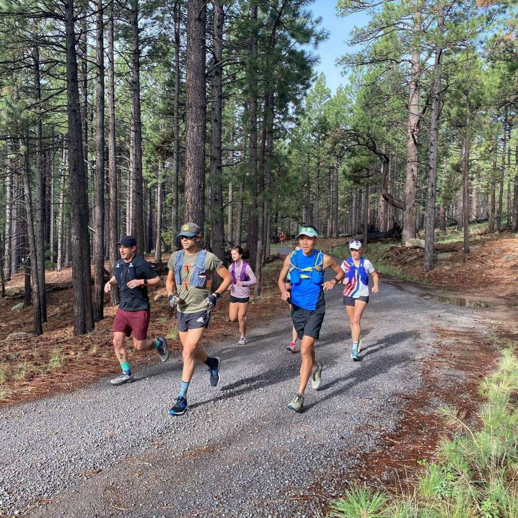 Meet Emily Harrison Torrence - CanvasRebel Magazine