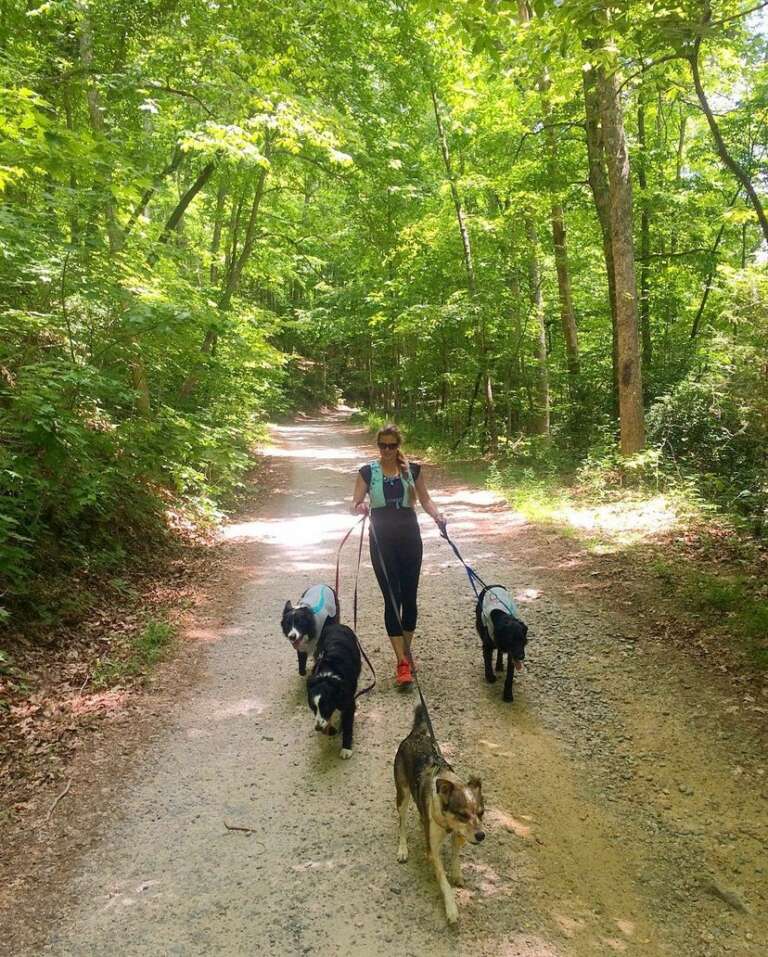 Meet Emily Harrison Torrence - CanvasRebel Magazine