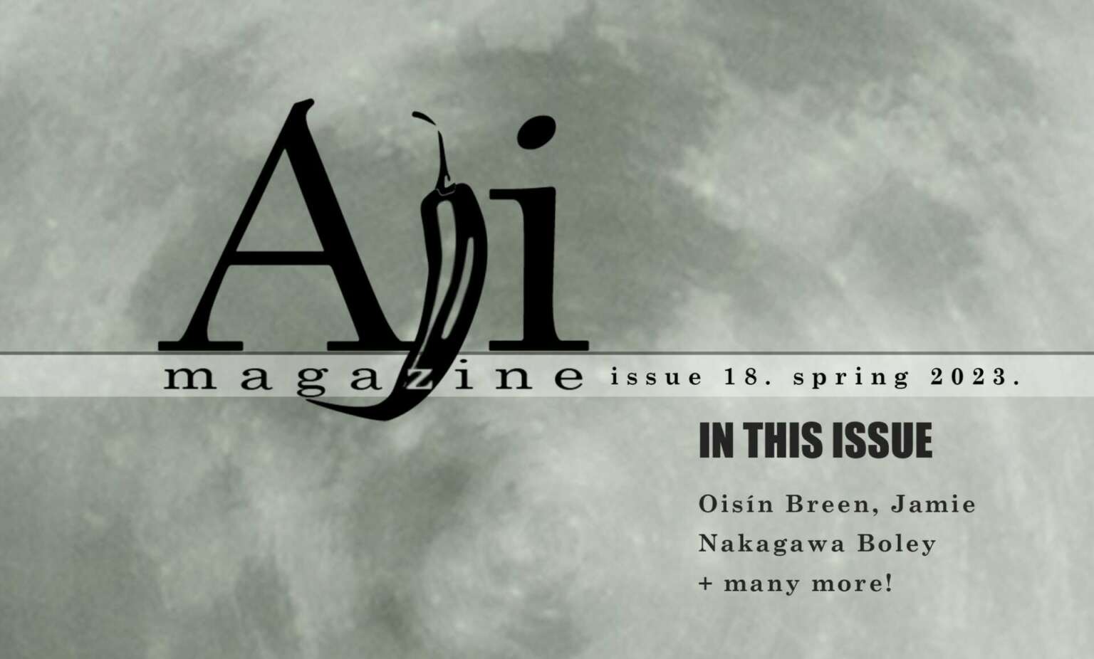 Meet Erin Oneill Armendarez Canvasrebel Magazine