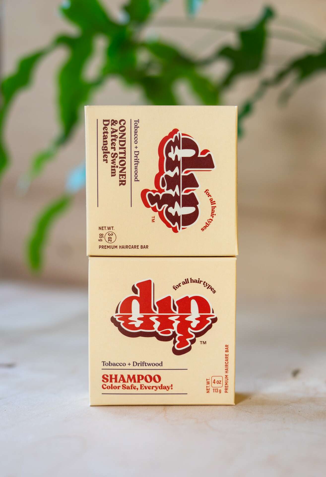 Meet Haley Queen – CanvasRebel Magazine