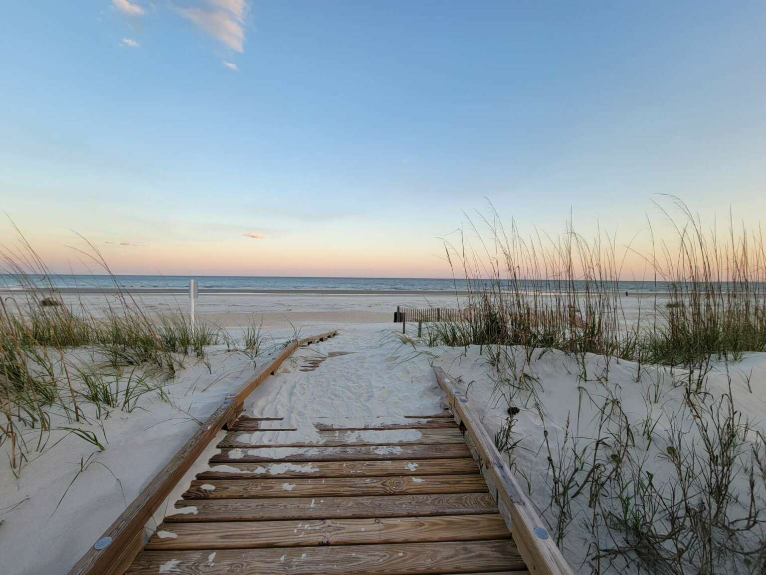 Meet Holly Bills – CanvasRebel Magazine