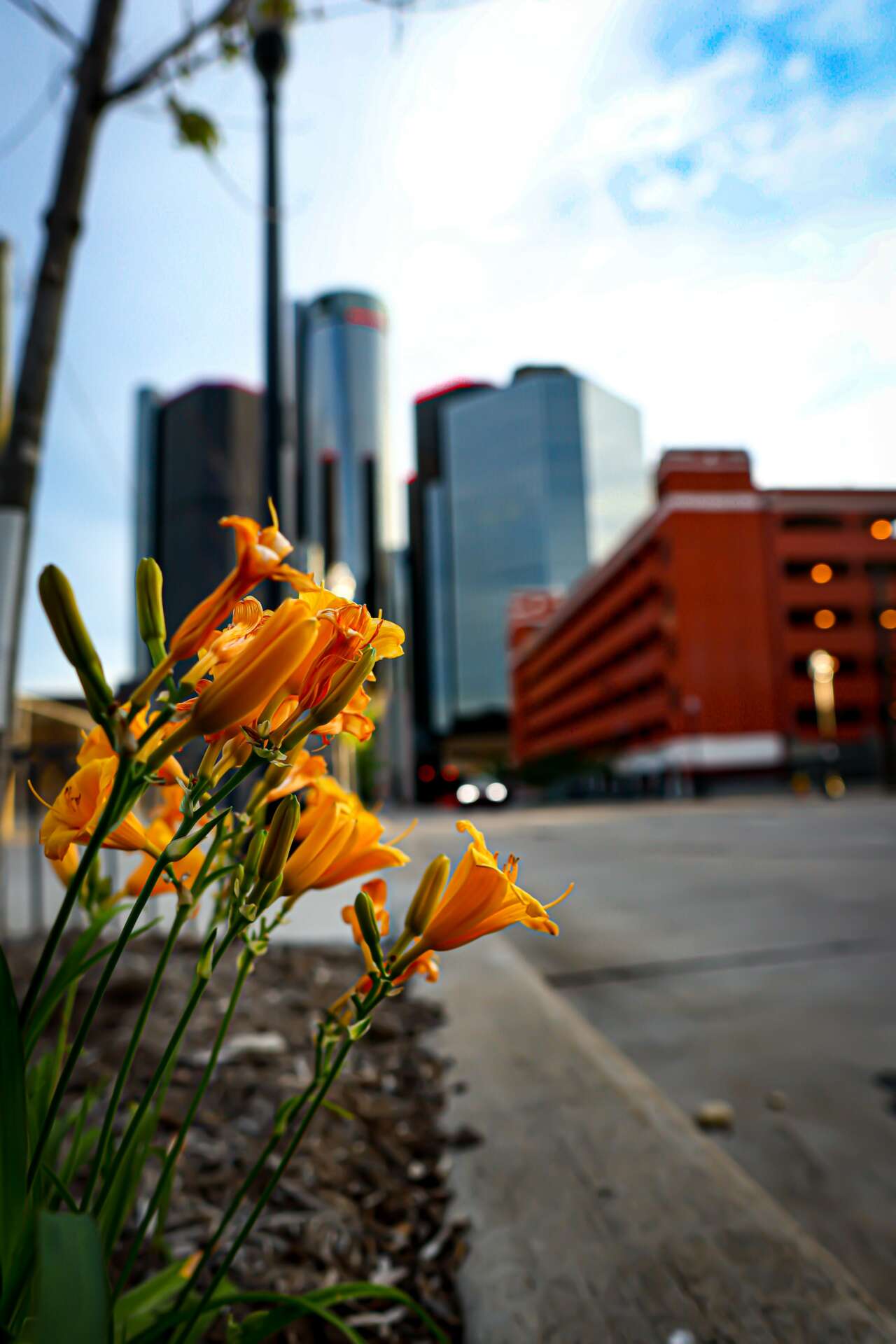 Meet Isaiah Gibson – CanvasRebel Magazine