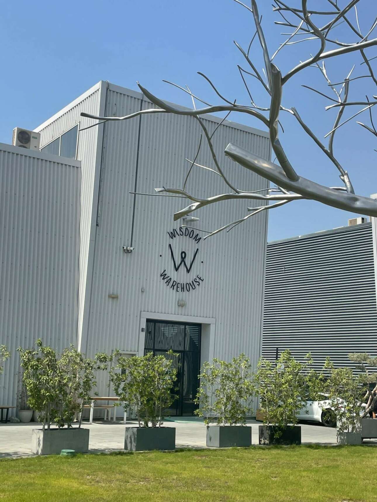 Meet Jamie Musacchio – CanvasRebel Magazine