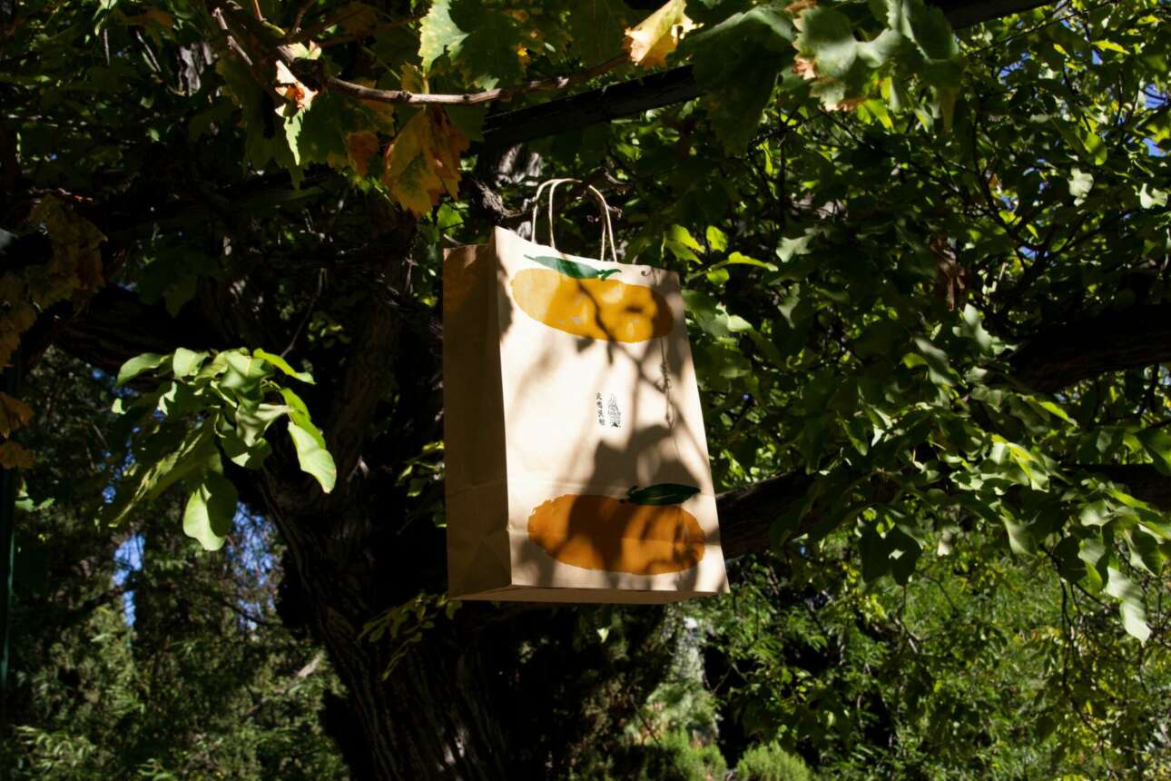 Meet Jinming Gao – CanvasRebel Magazine