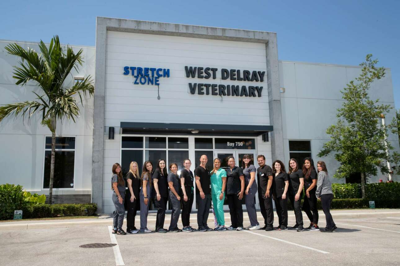 Meet Jonathan Block – CanvasRebel Magazine