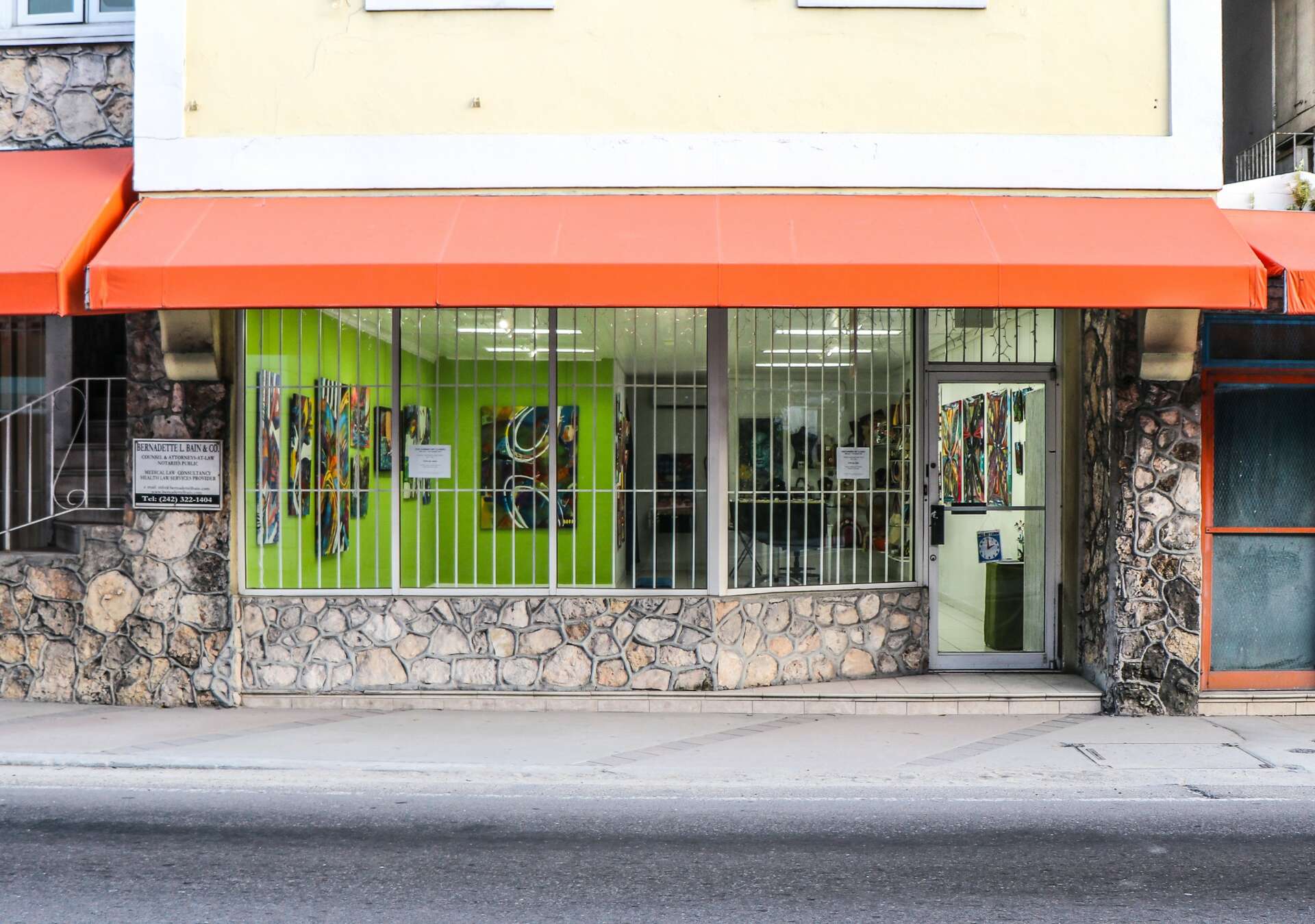 Meet June Collie – CanvasRebel Magazine