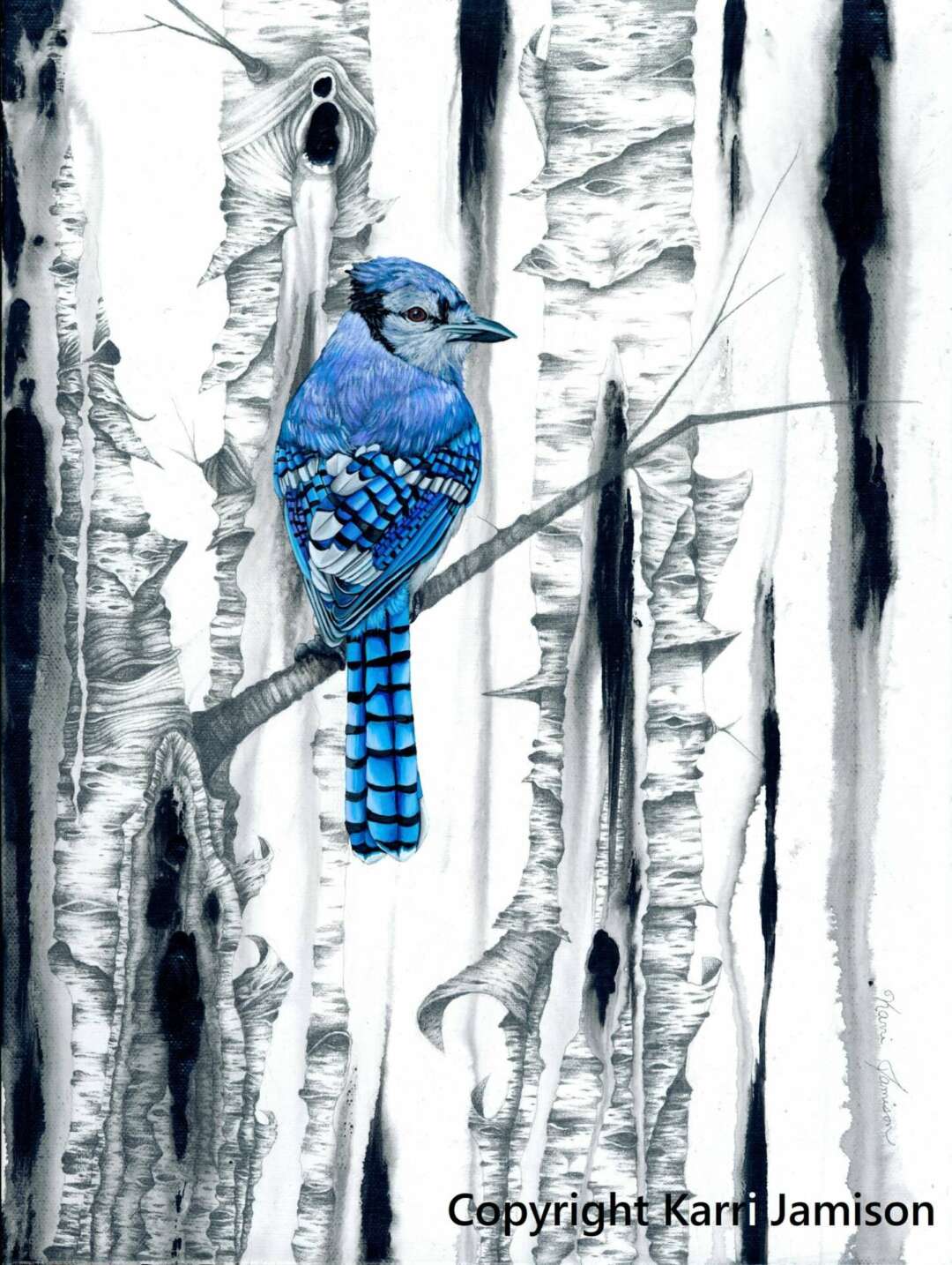 Meet Karri Jamison - CanvasRebel Magazine