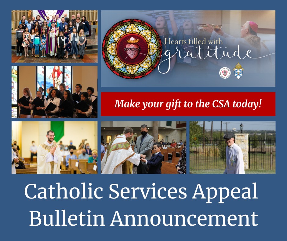 Meet Kate Hanley – CanvasRebel Magazine