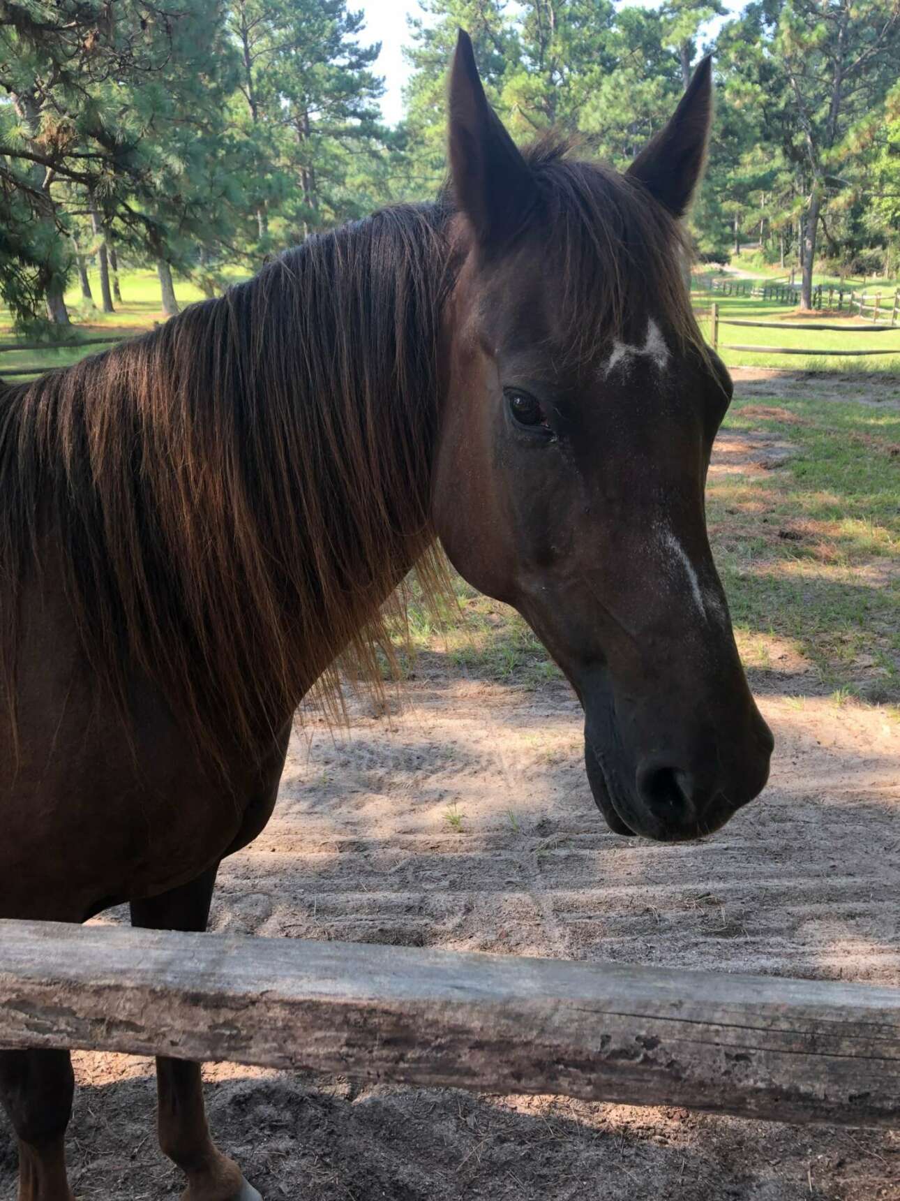 Meet Kim Bishop - CanvasRebel Magazine