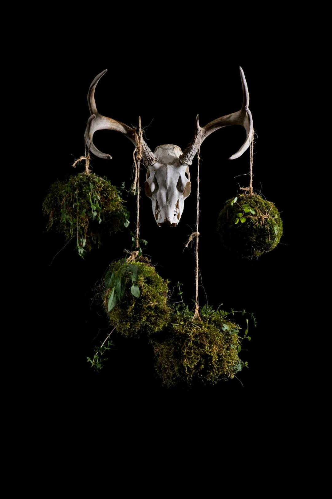 Meet Meredith Mashburn - CanvasRebel Magazine