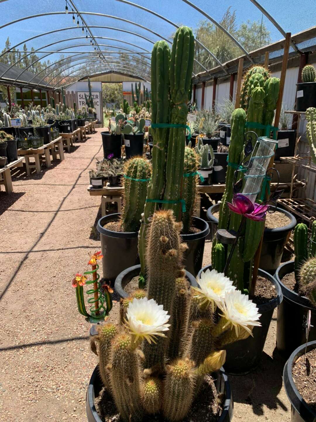 Meet Nicole Holland – CanvasRebel Magazine