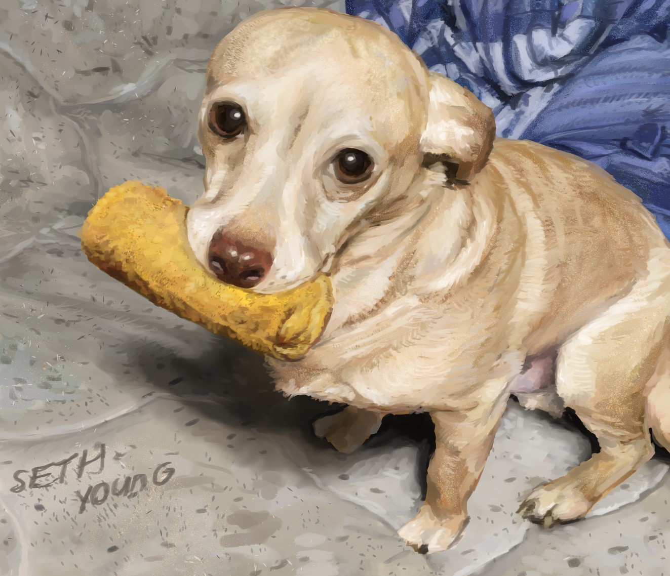 Meet Seth Young – CanvasRebel Magazine