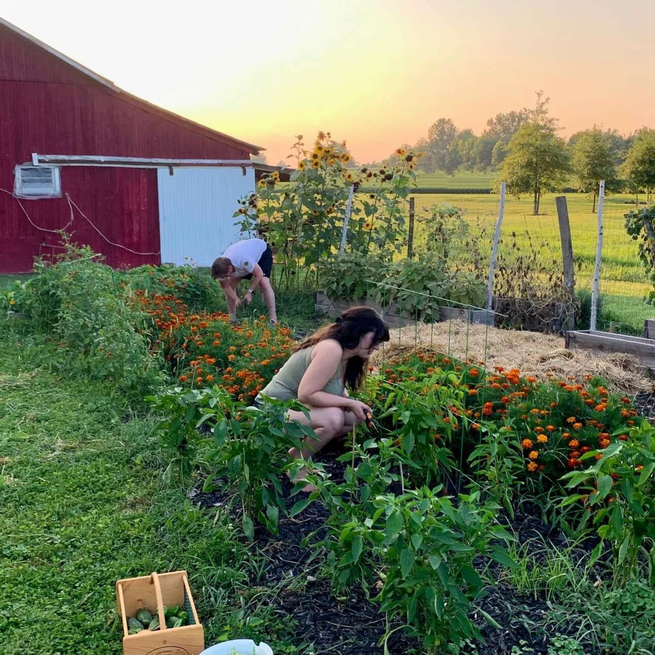 Meet Victoria Meade – CanvasRebel Magazine