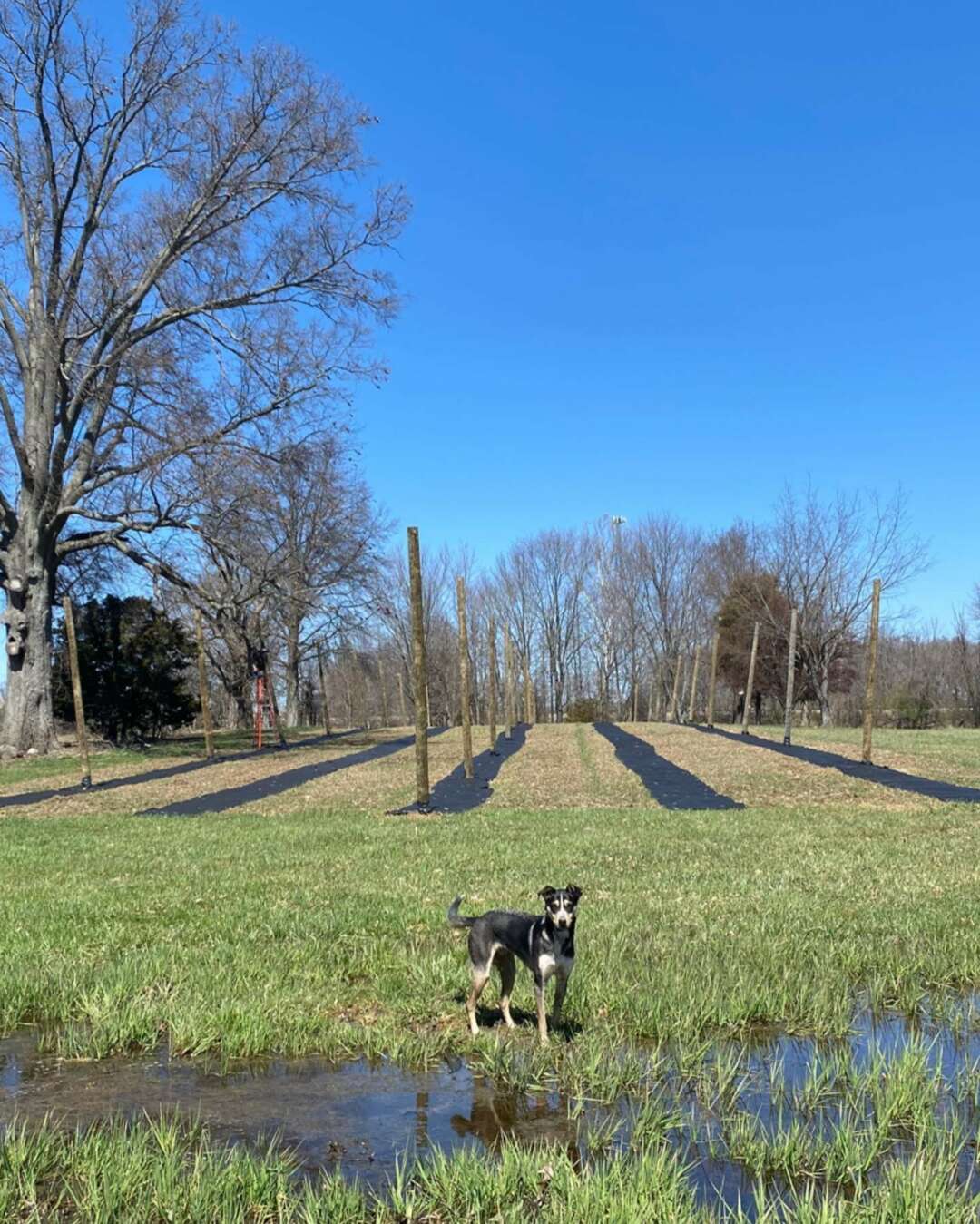 Meet Victoria Meade – CanvasRebel Magazine