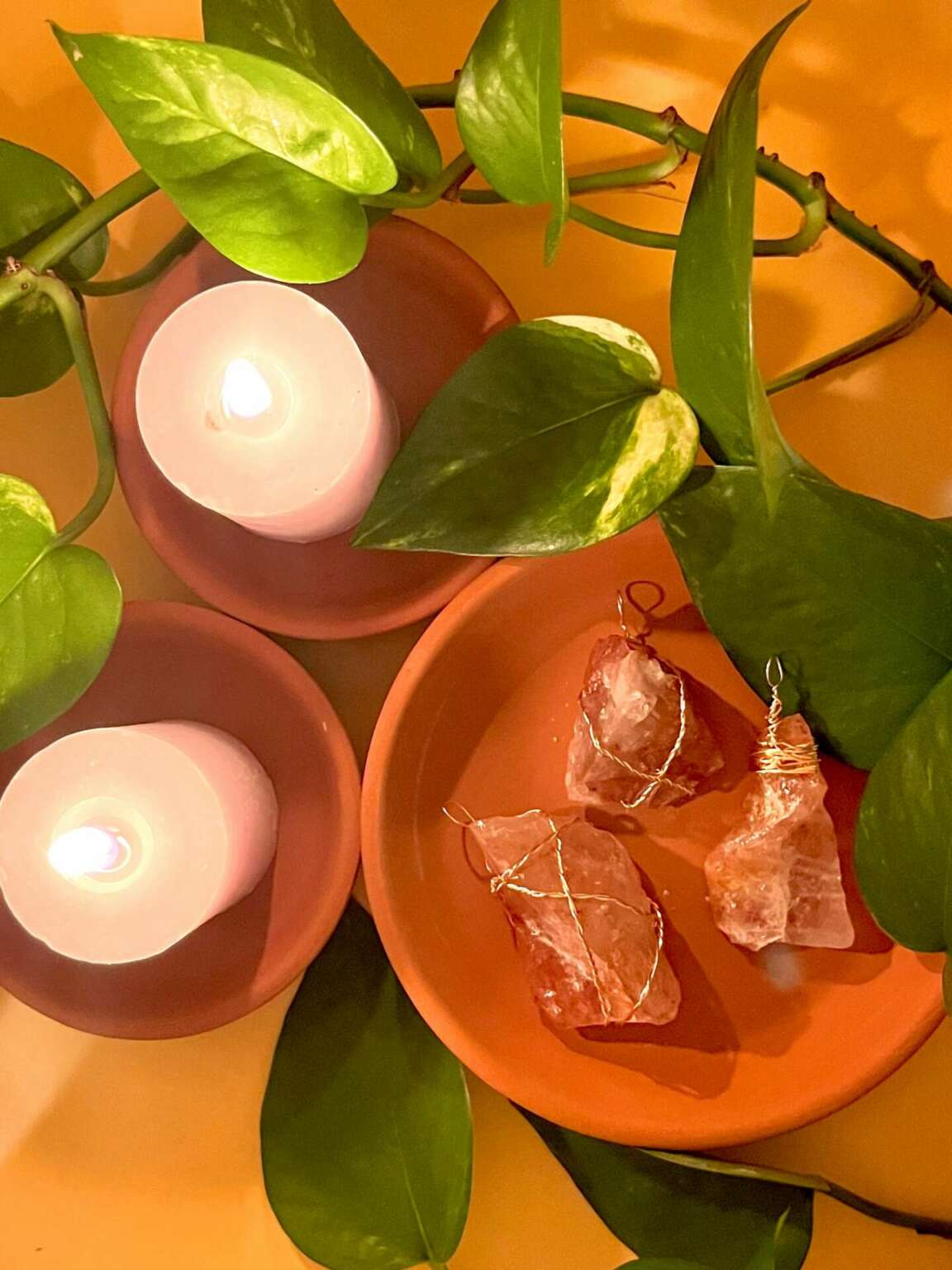 Meet emily rich – CanvasRebel Magazine