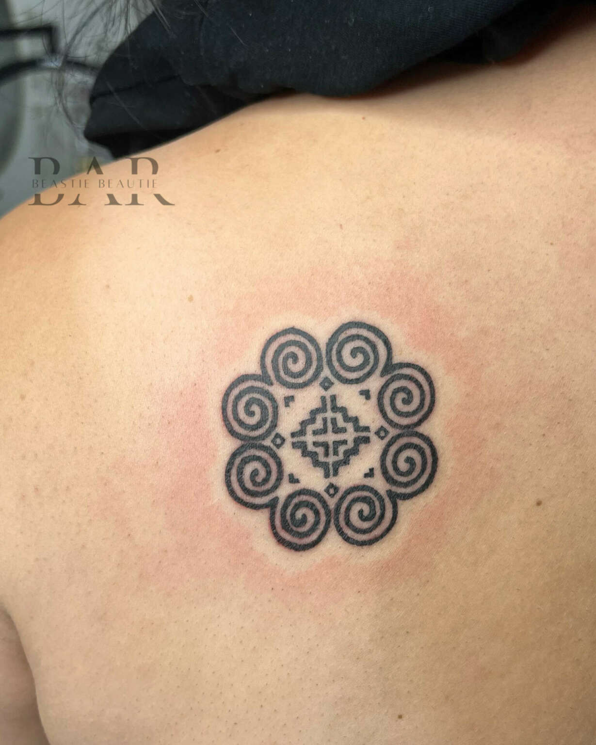 Meet Becky Vang - CanvasRebel Magazine