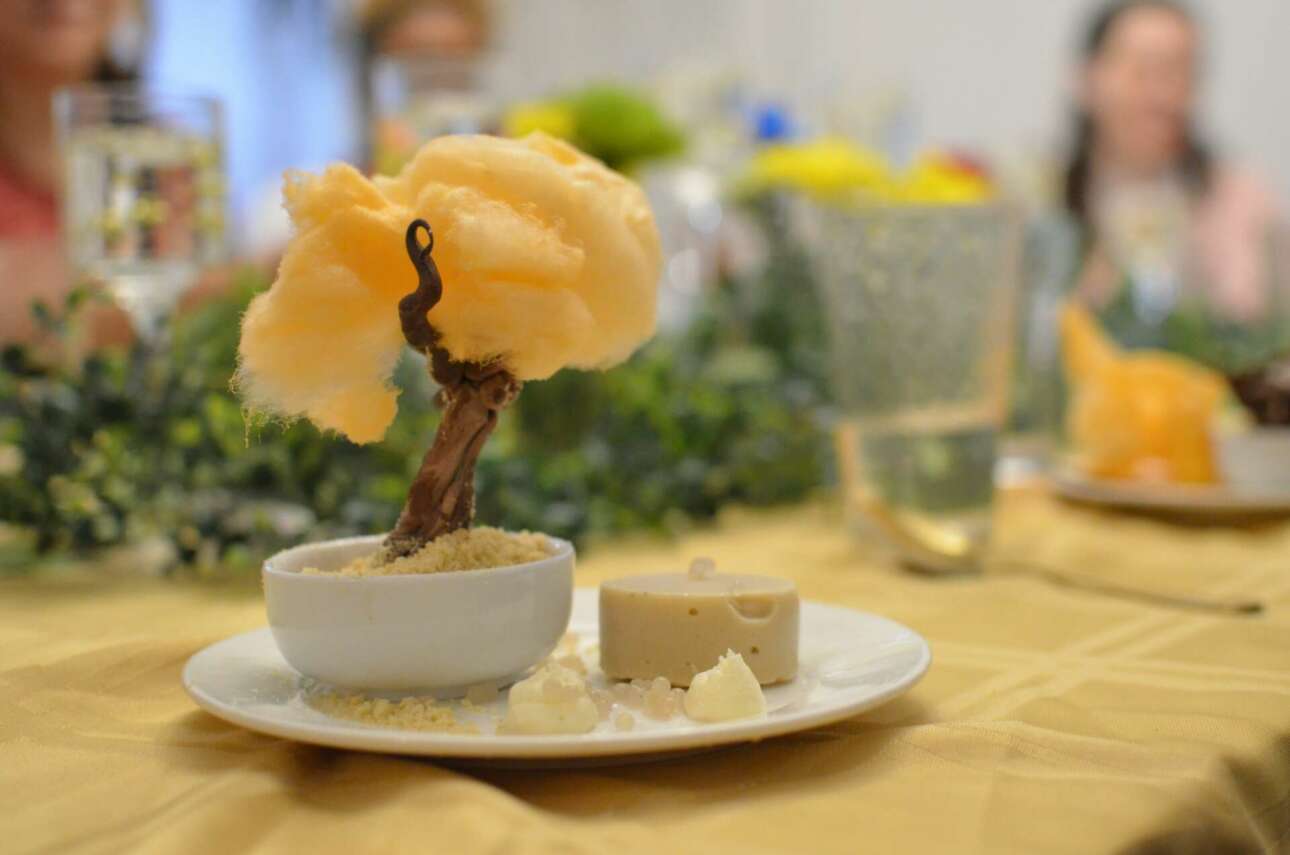 Meet Alexander Mack – CanvasRebel Magazine