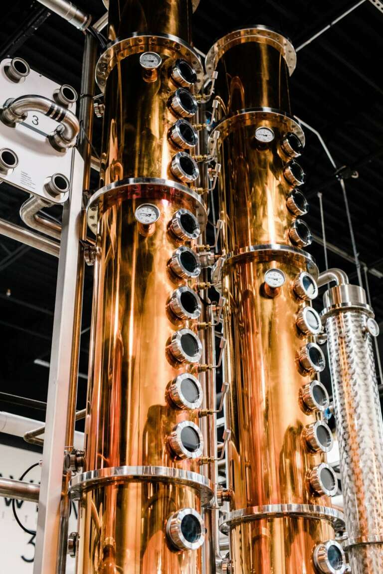 Meet Alexandra Osborn - CanvasRebel Magazine