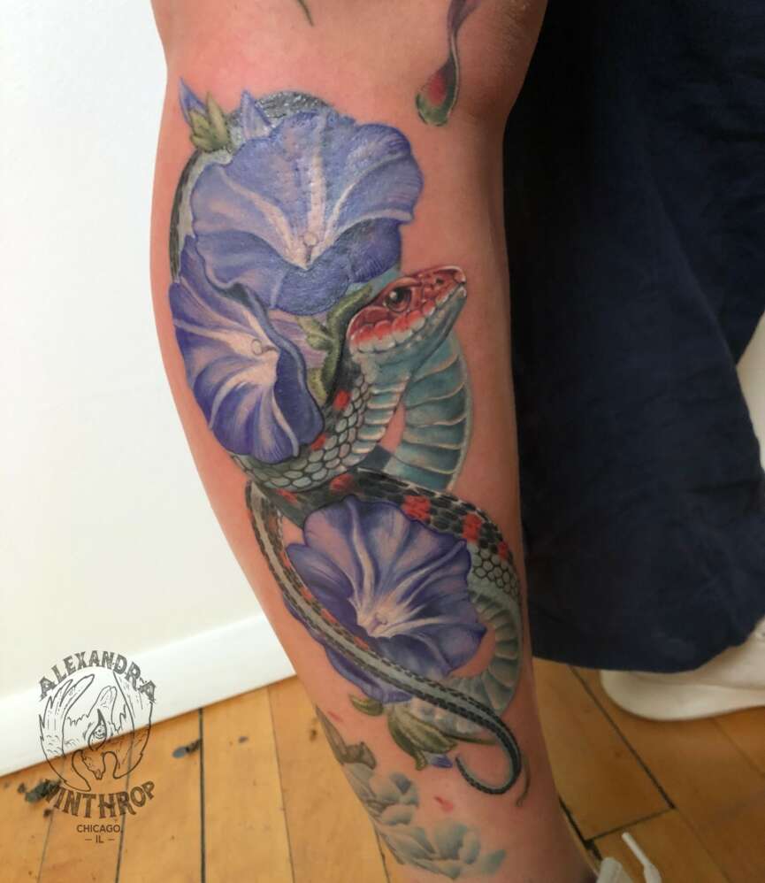 Meet Alexandra Winthrop - CanvasRebel Magazine