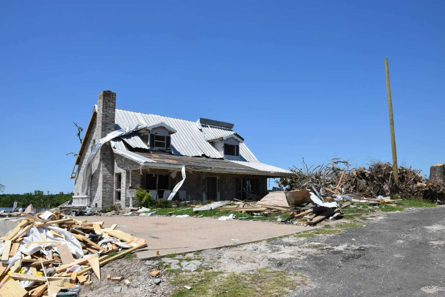 Meet Ana Nguyen - CanvasRebel Magazine